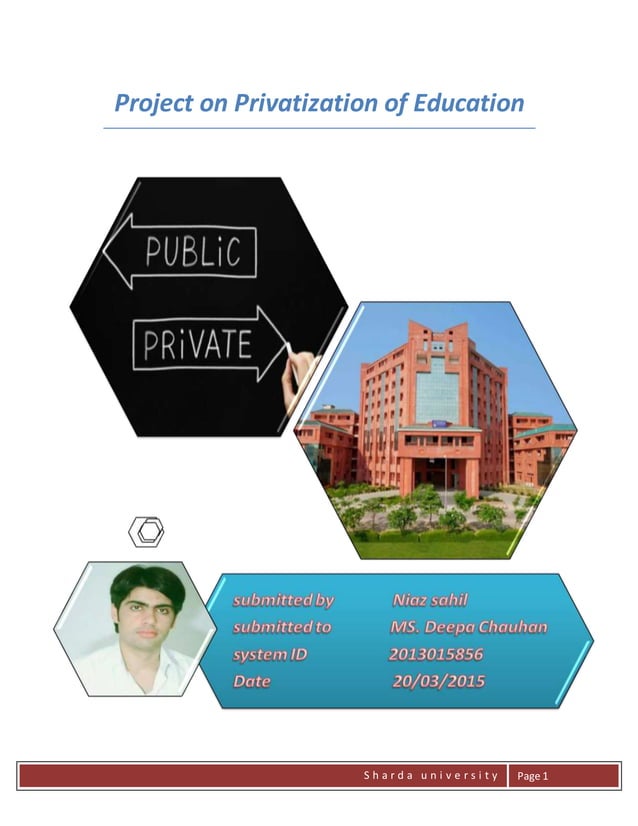 Project on Privatization of Education | DOCX | Education industry ...