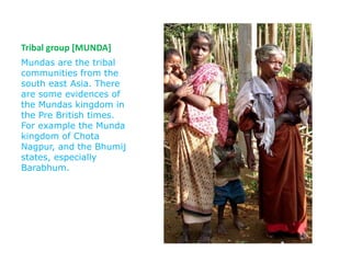 Tribal communities and uses of medicinal plantas and animals | PPTX