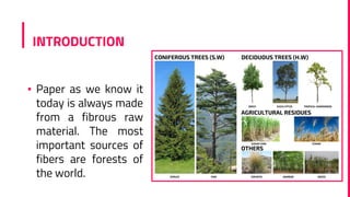 NEW RAW MATERIALS FOR PAPER PULP | PDF