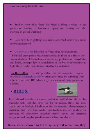 EFFECT OF RADIATIONS ON HABITS OF BIRDS AND INSECT | DOC