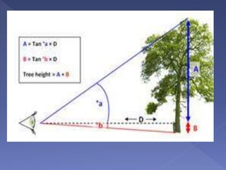 Clinometer | PPTX