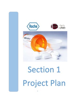 Roche pharma IS Audit and Management | DOCX