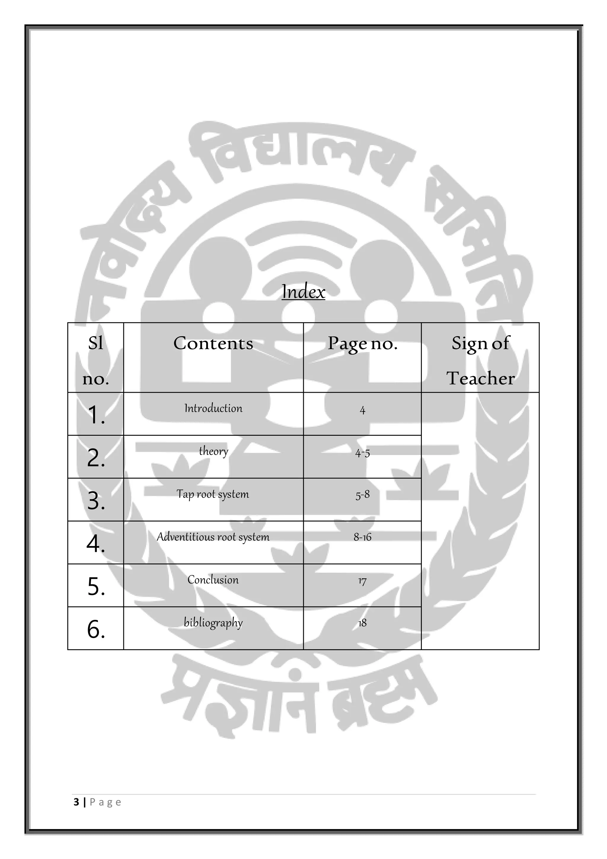 Project on Modification of roots | DOCX