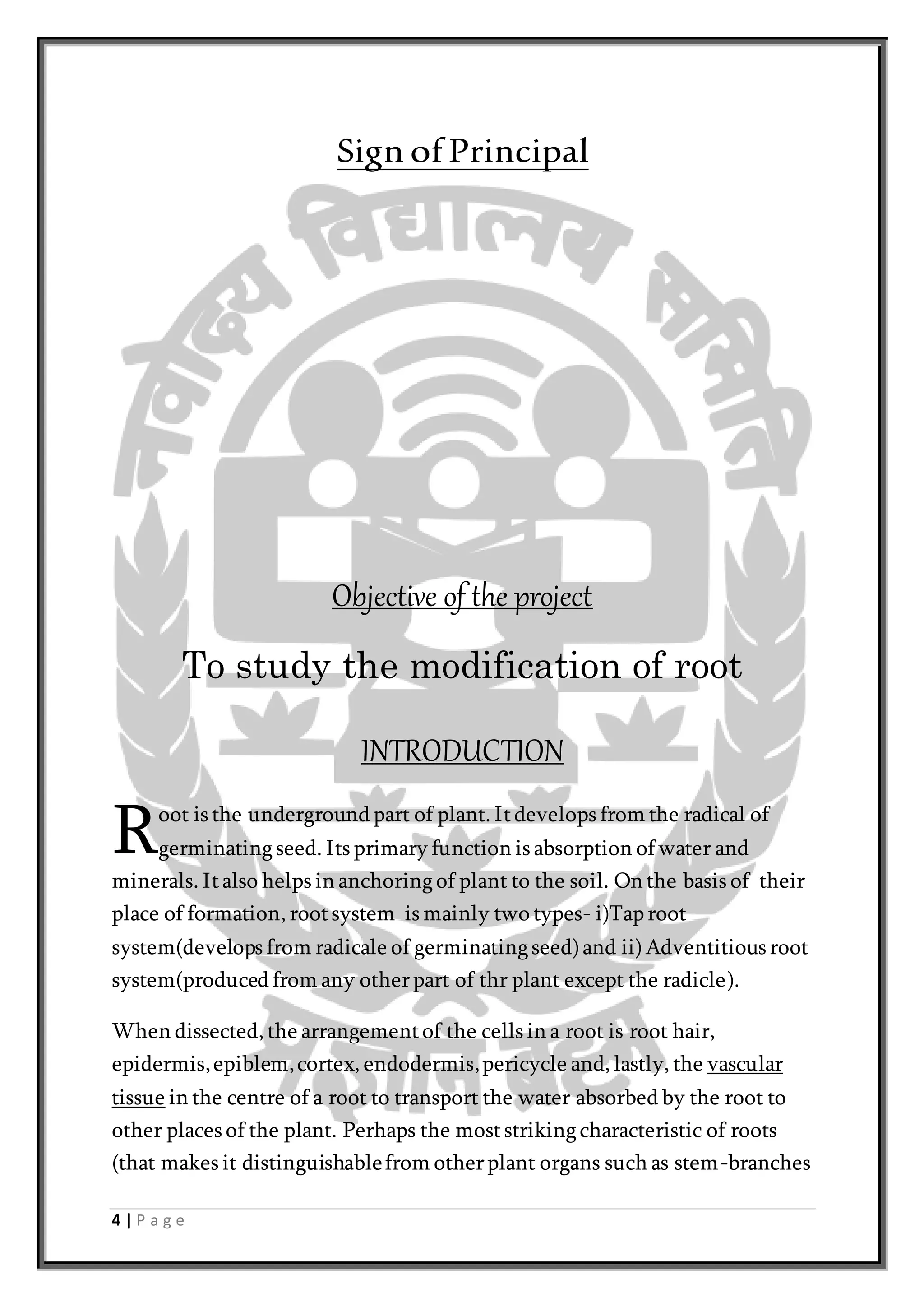 Project on Modification of roots | DOCX