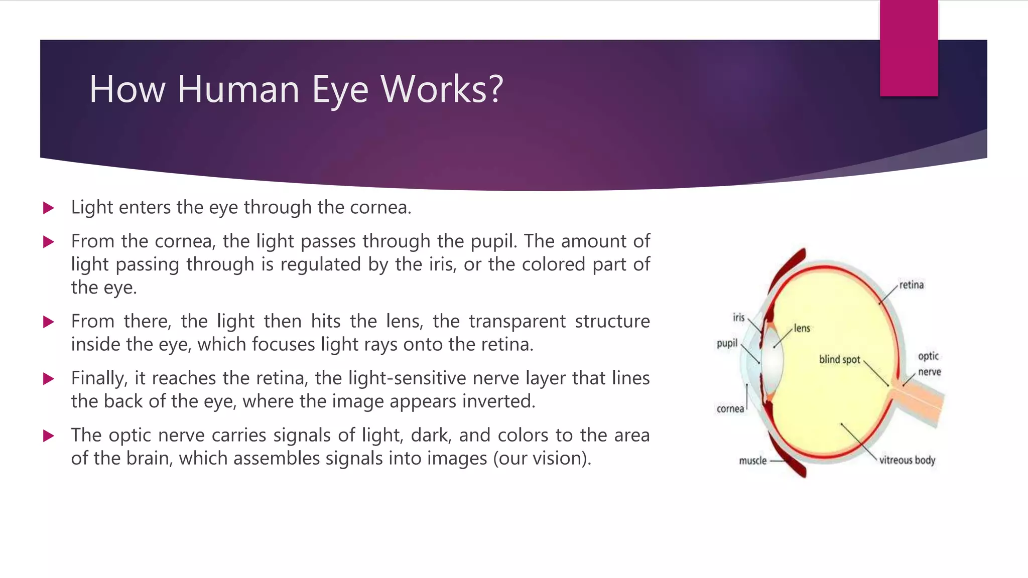 Eye Tracking Based Human - Computer Interaction | PPTX