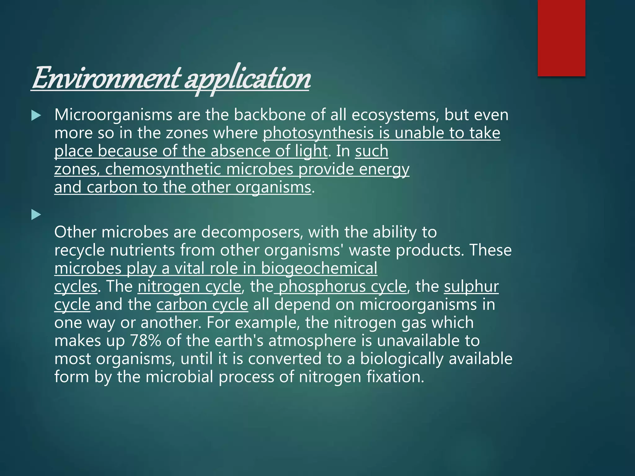 Presentation on industrial microbiology | PPTX