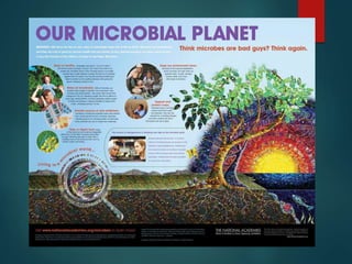 Presentation on industrial microbiology | PPTX
