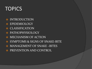 Project on snake bite | PPTX