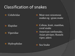 Project on snake bite | PPTX