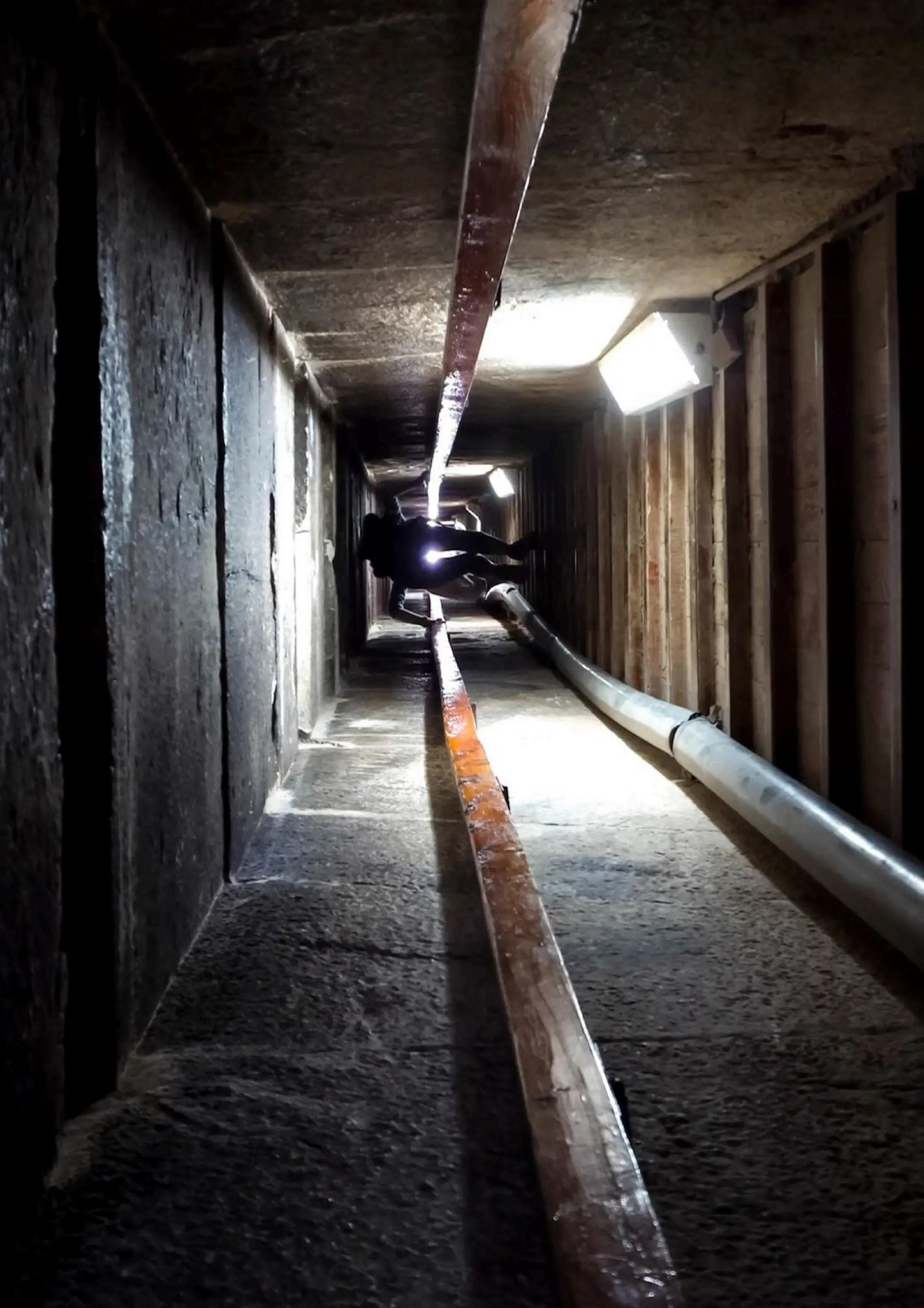 English art integrated project class 11 CBSE | PDF