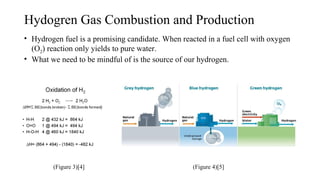 hydrogen gas project ecology class presentation | PPT