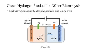 hydrogen gas project ecology class presentation | PPTX