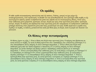 Τα Χόμπυ των Μαθητών και το Σχολείο | PPT