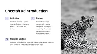 Project-Cheetah-in-India and conservation | PPTX