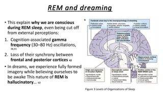 Cognitive neuroscience of dreaming | PPTX