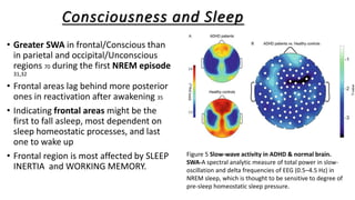 Cognitive neuroscience of dreaming | PPTX