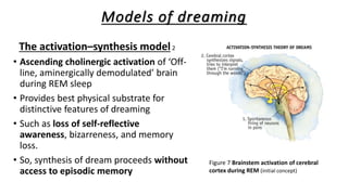 Cognitive neuroscience of dreaming | PPTX