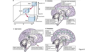 Cognitive neuroscience of dreaming | PPTX