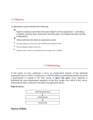 Compensation System Development | PDF