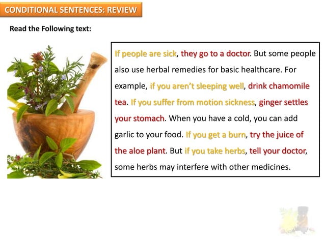 Project conditional sentences. review. | PPTX