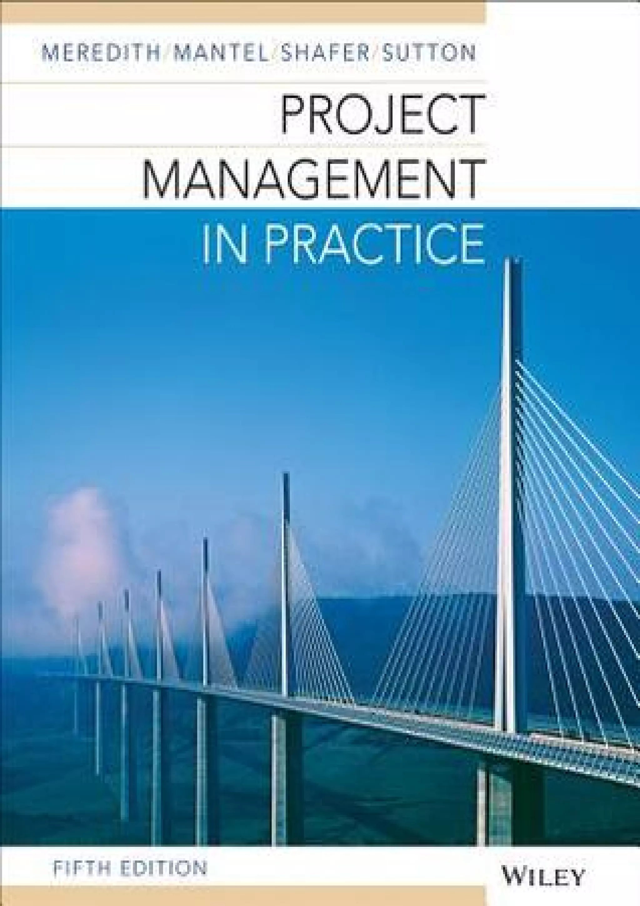 Project Management in Practice [P.D.F] | PDF