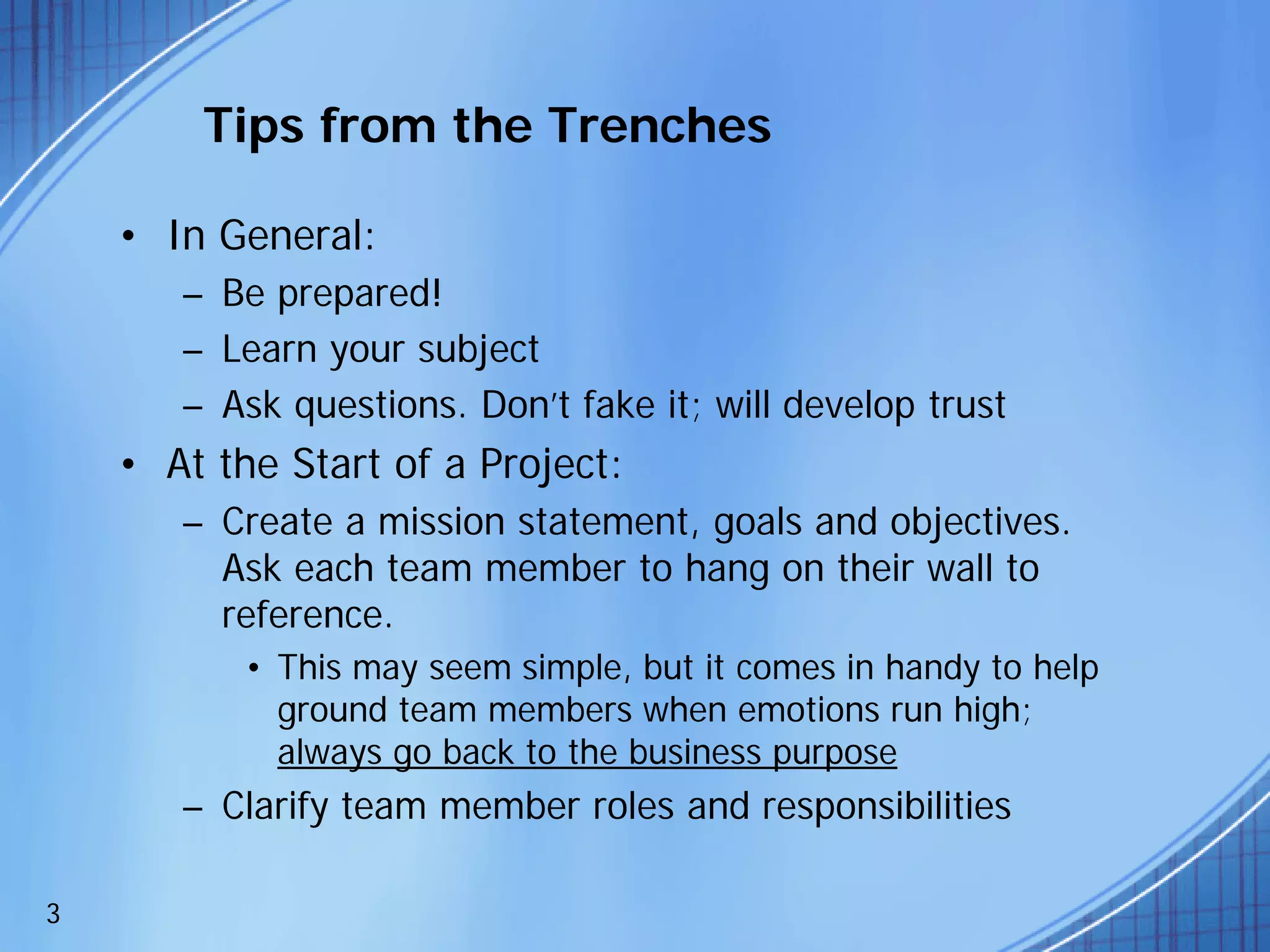Project Management: Tips from the Trenches | PDF