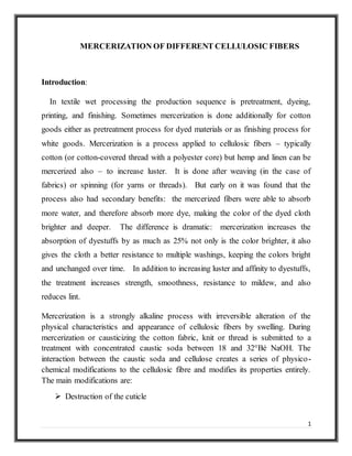 Project mercerization | DOCX