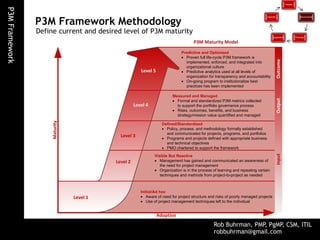 P3M - Project, Program, Portfolio Management Framework | PDF