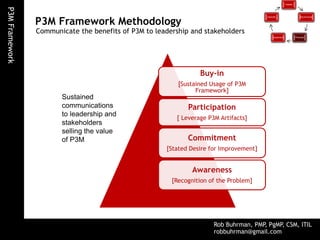 P3M - Project, Program, Portfolio Management Framework | PDF