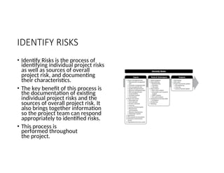 FDDVDVFRGTTTTProject-Risk-Management.docx