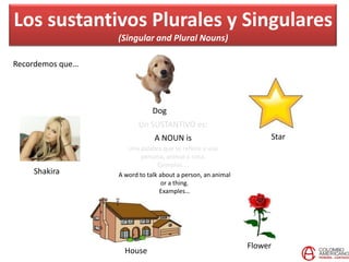 Course 1-Unit 1: Singular and plural nouns | PPTX