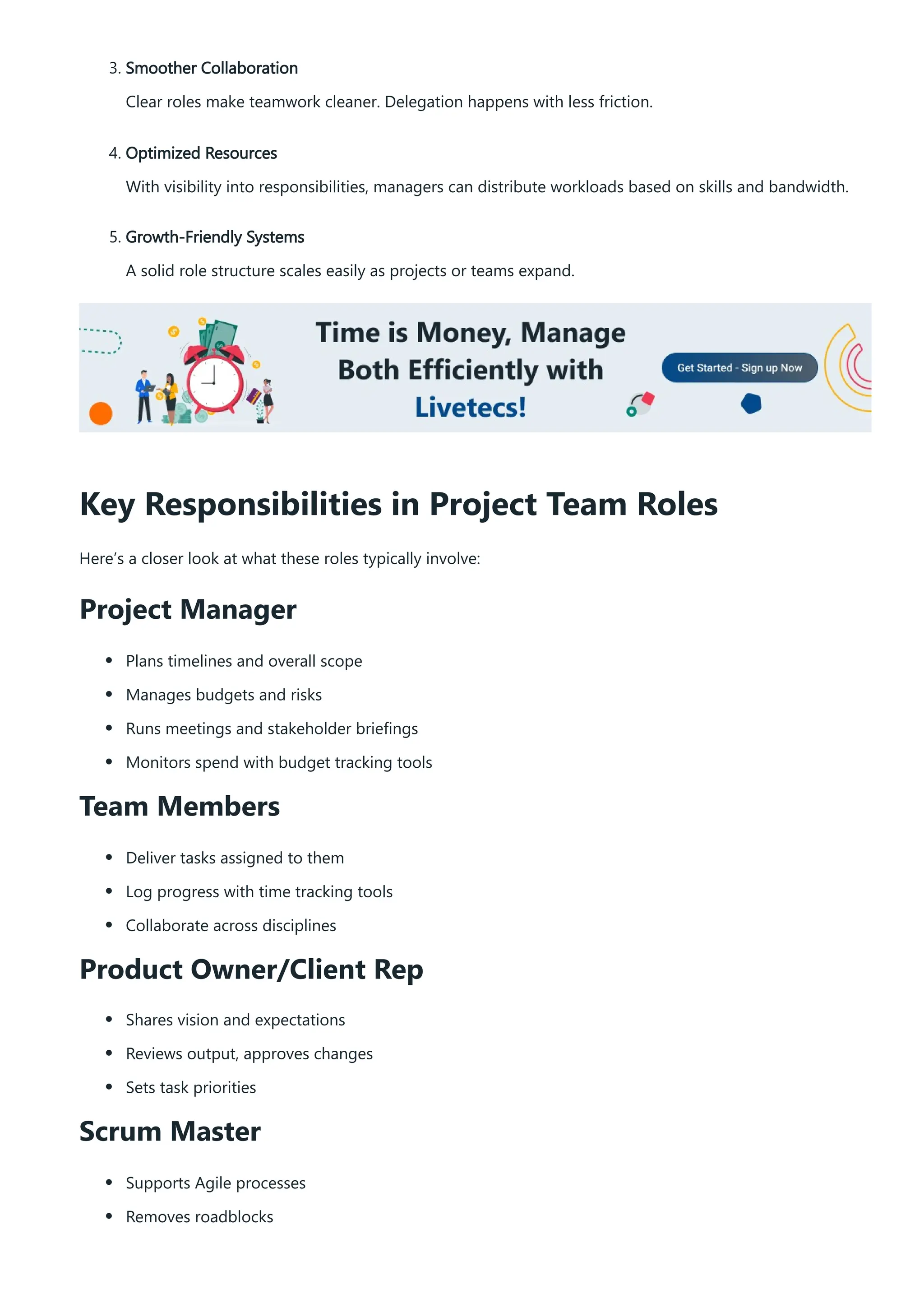 Project Team Roles: Responsibilities & Benefits | PDF