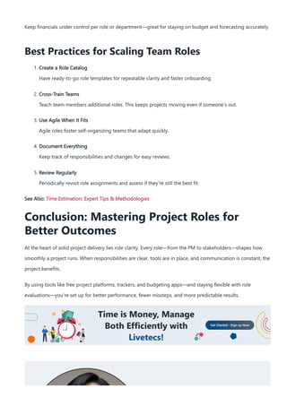 Project Team Roles: Responsibilities & Benefits | PDF