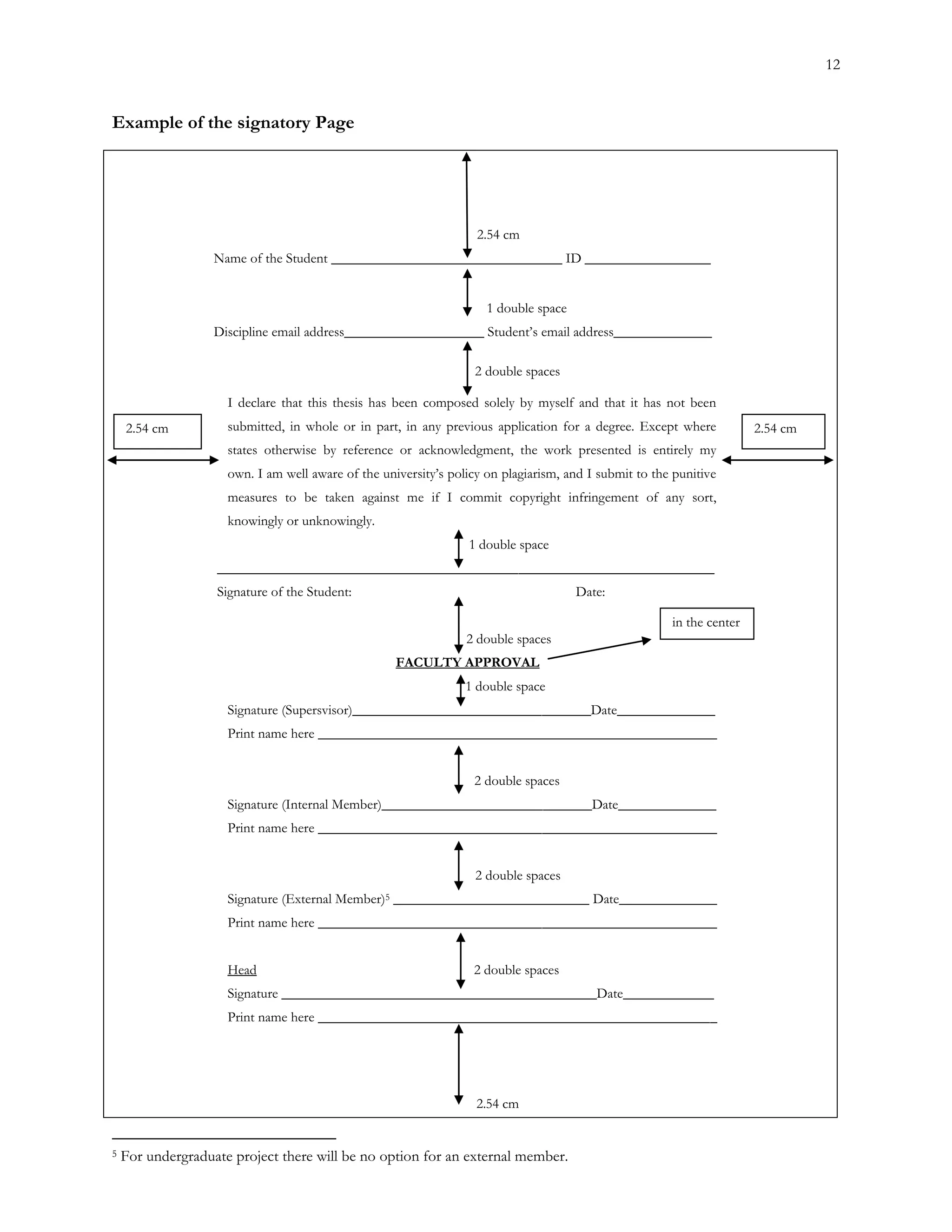 Project-Thesis-Guidelines | PDF