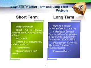 Project Categories in Project Management | PDF