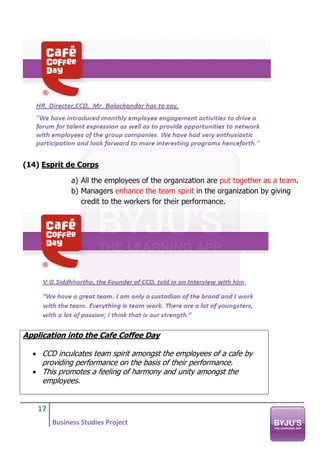 Project work-principles-of-management for class 12 | PDF