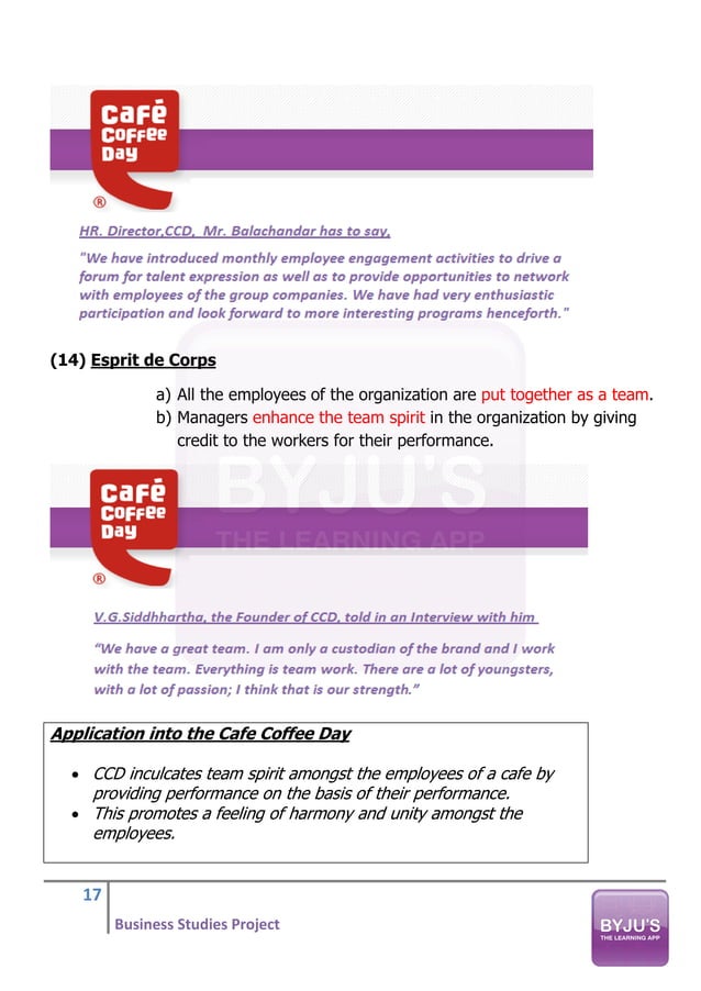 Project work-principles-of-management for class 12 | PDF