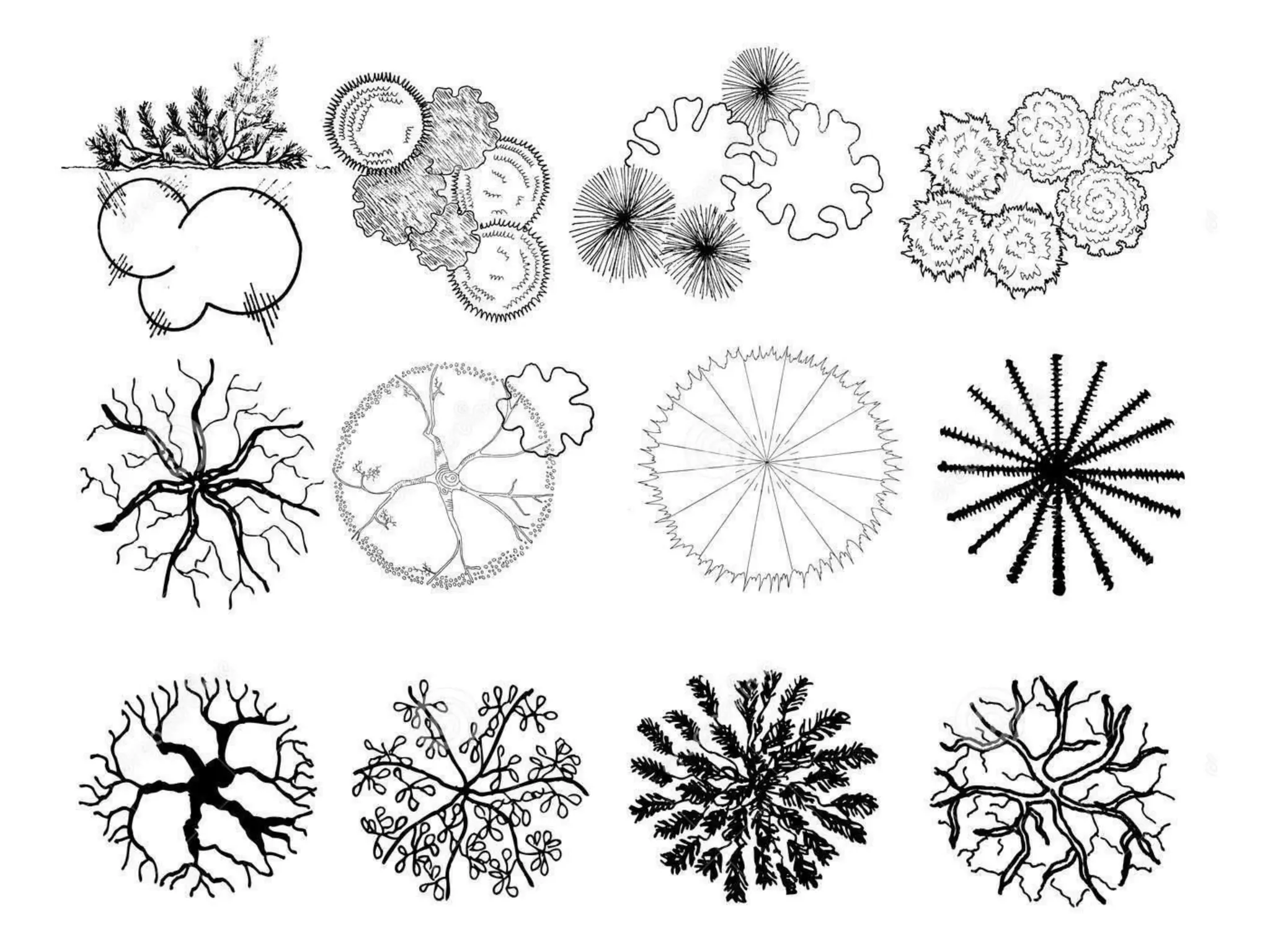 Project02 briefing | PPT