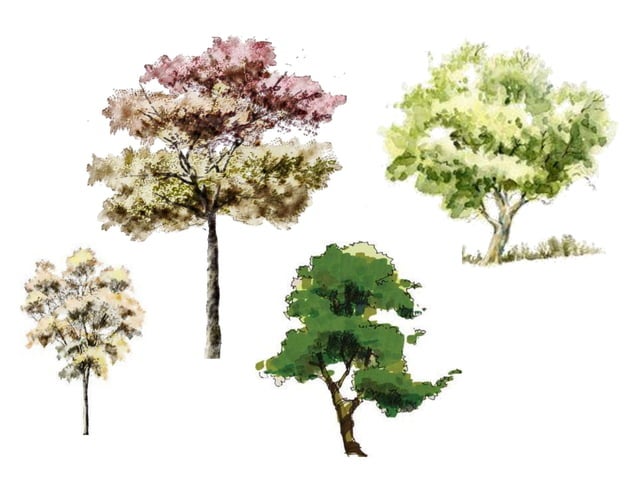 Project02 briefing | PPT