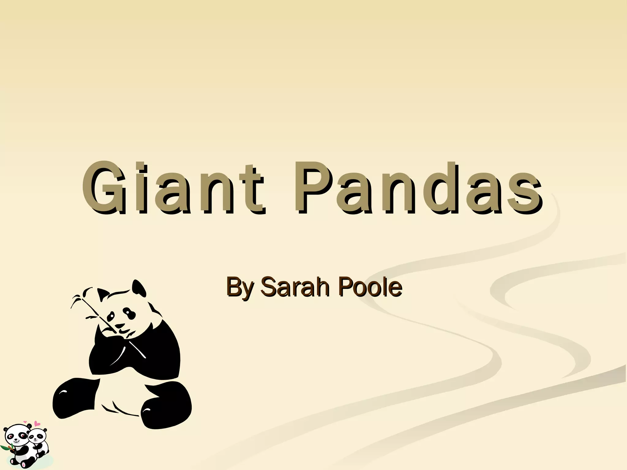 Giant Pandas | PPT