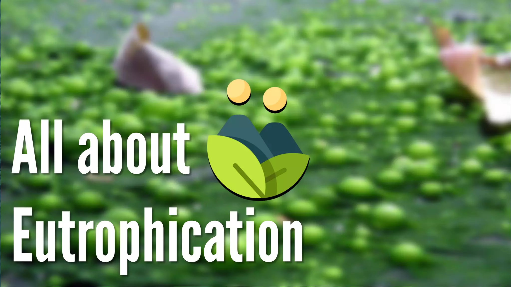 Eutrophication | PDF
