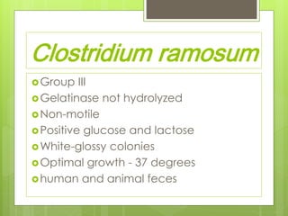 Isolation of Clostridium | PPTX