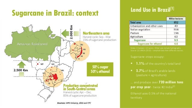 Sugarcane in Brazil: past, present and future