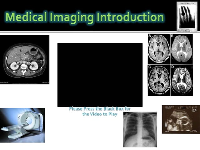 Project 1 (Skeletal System Multi Media) Mc Sheet | PPT