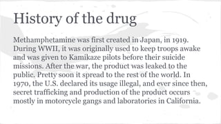 Project 2-Meth | PDF