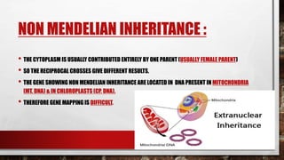 CYTOPLASMIC INHERITANCE(Non Mendelian Inheritance) | PPTX