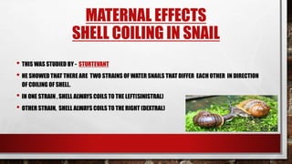 CYTOPLASMIC INHERITANCE(Non Mendelian Inheritance) | PPTX