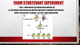 CYTOPLASMIC INHERITANCE(Non Mendelian Inheritance) | PPTX