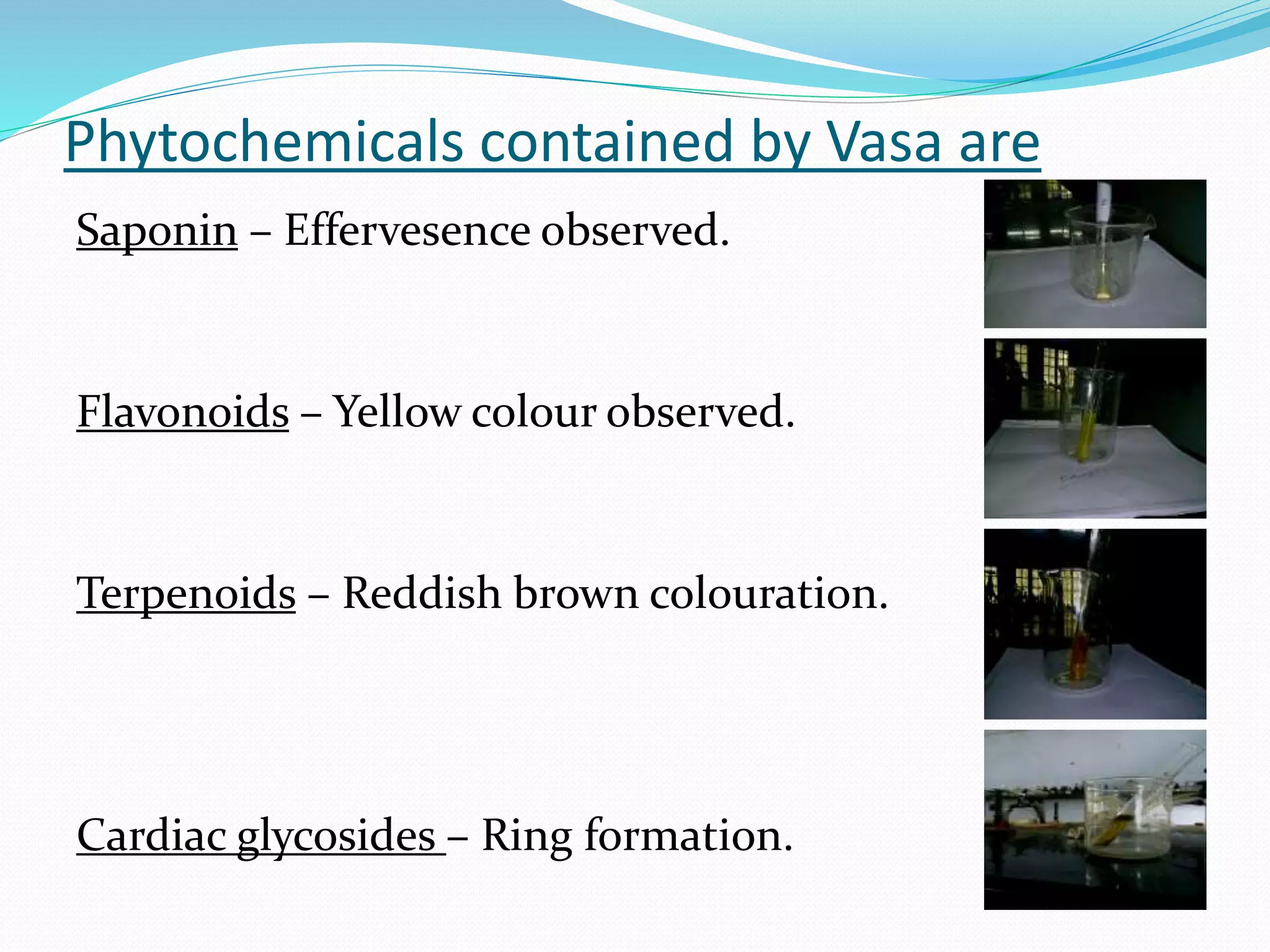 Phytochemicals found in medicinal plants | PPTX