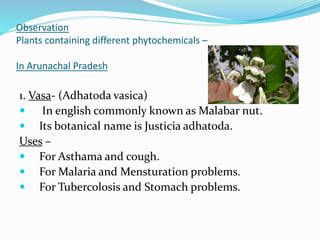 Phytochemicals found in medicinal plants | PPTX